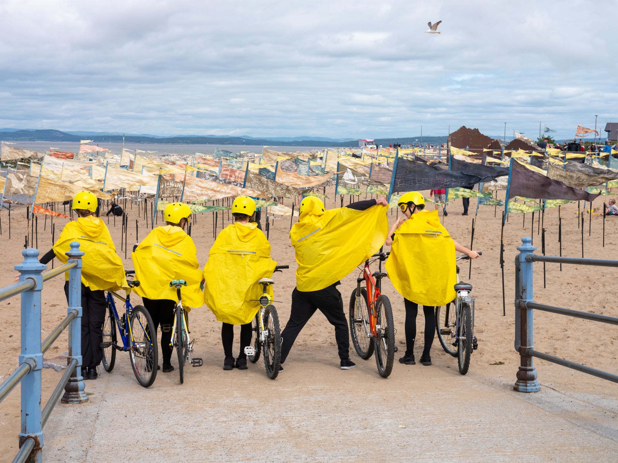 Bay Lines - Beach of Dreams